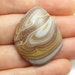 Rainbow Hickoryite Rainbow Rhyolite Hickory Woodgrain Gemstone - Etsy
