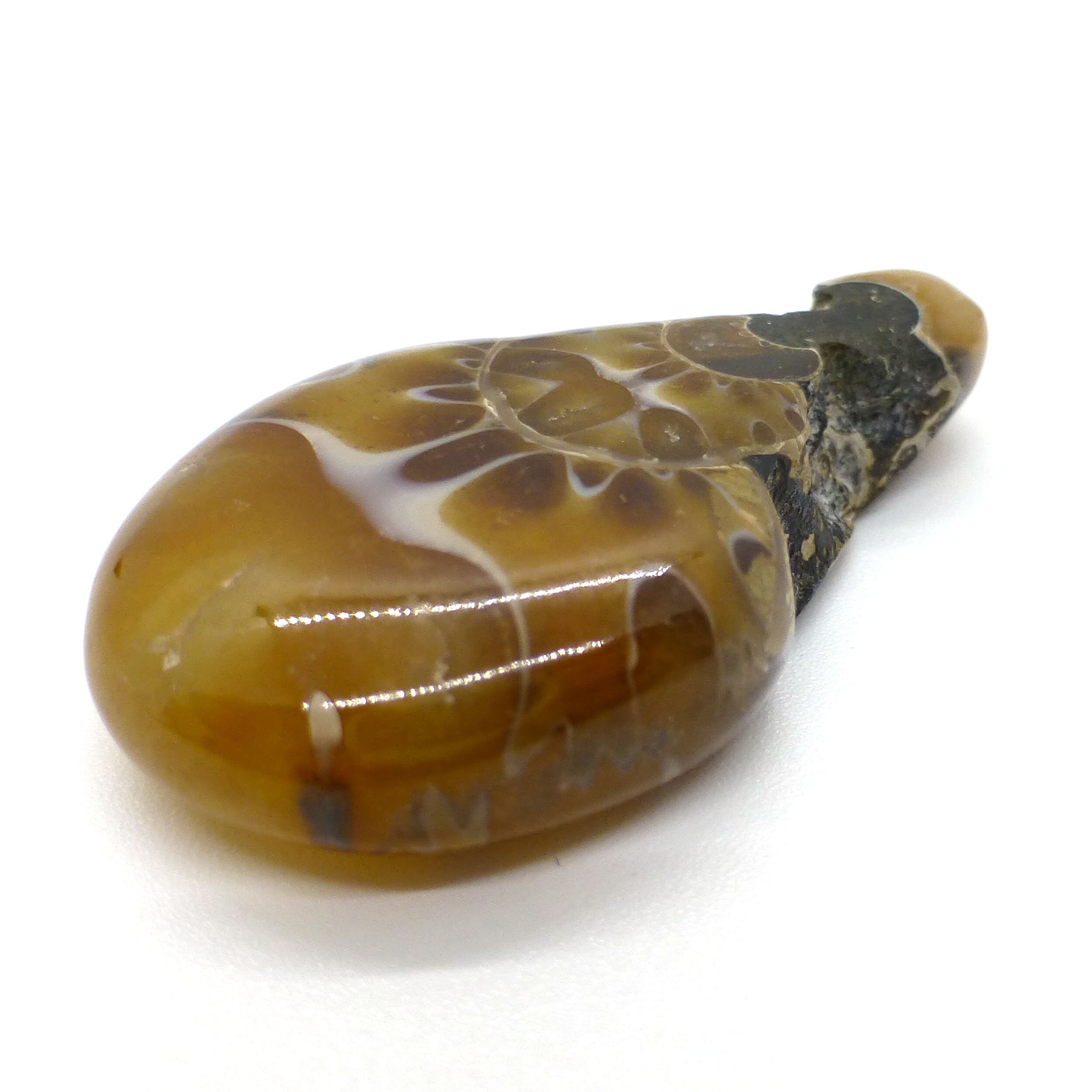 50.295 Carats Sphenodiscus Lenticularis Oak Leaf Agate Druzy Cabochon ...