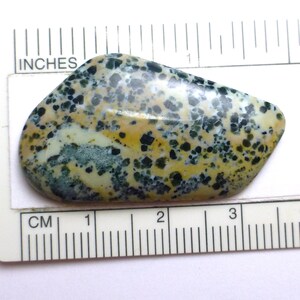 Frog Skin Jasper Cabochon Handmade by Lisajoy Sachs Design Lapidary ...