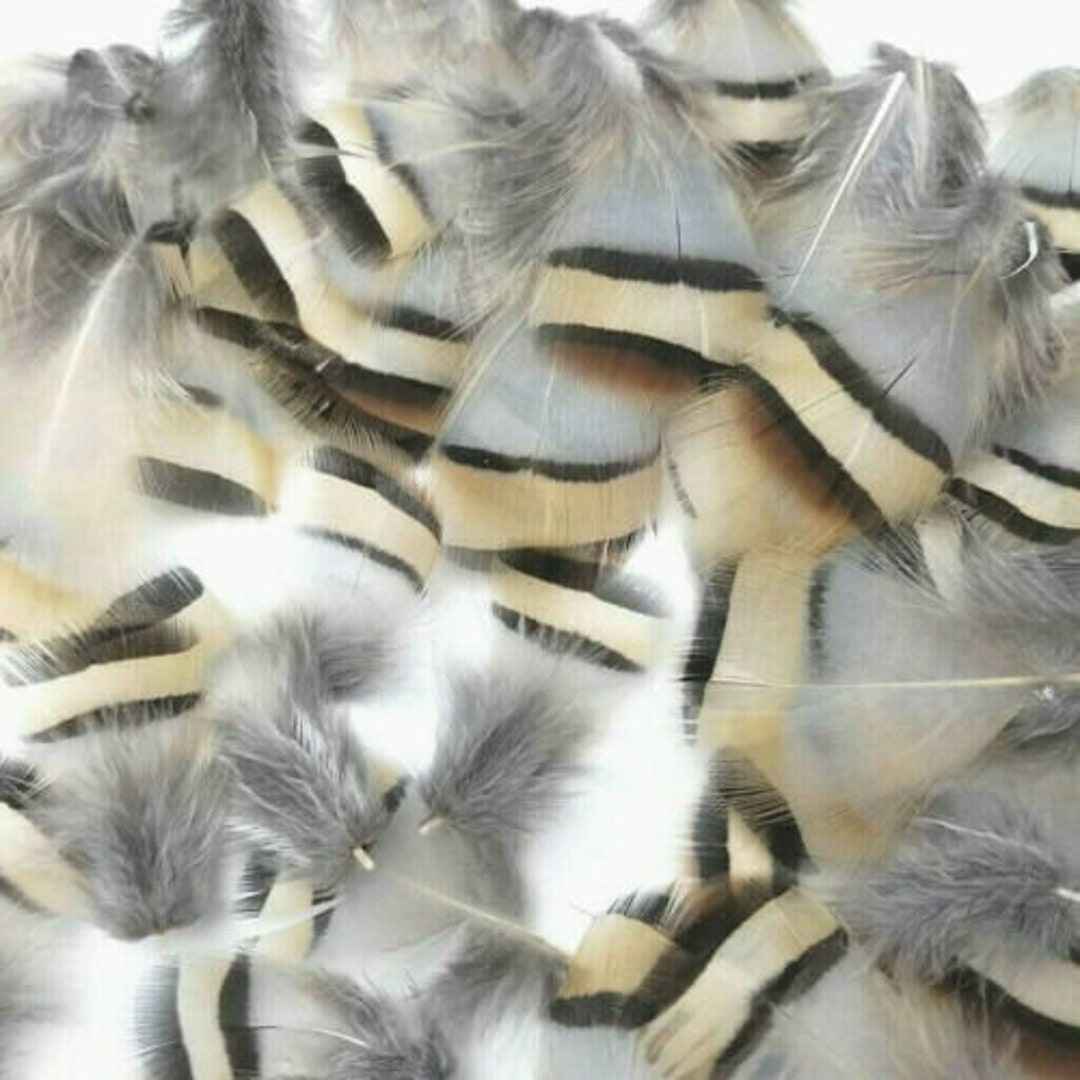Chukar Patridge Feathers Choose Amount, Priced Accordingly, Fly Tying ...