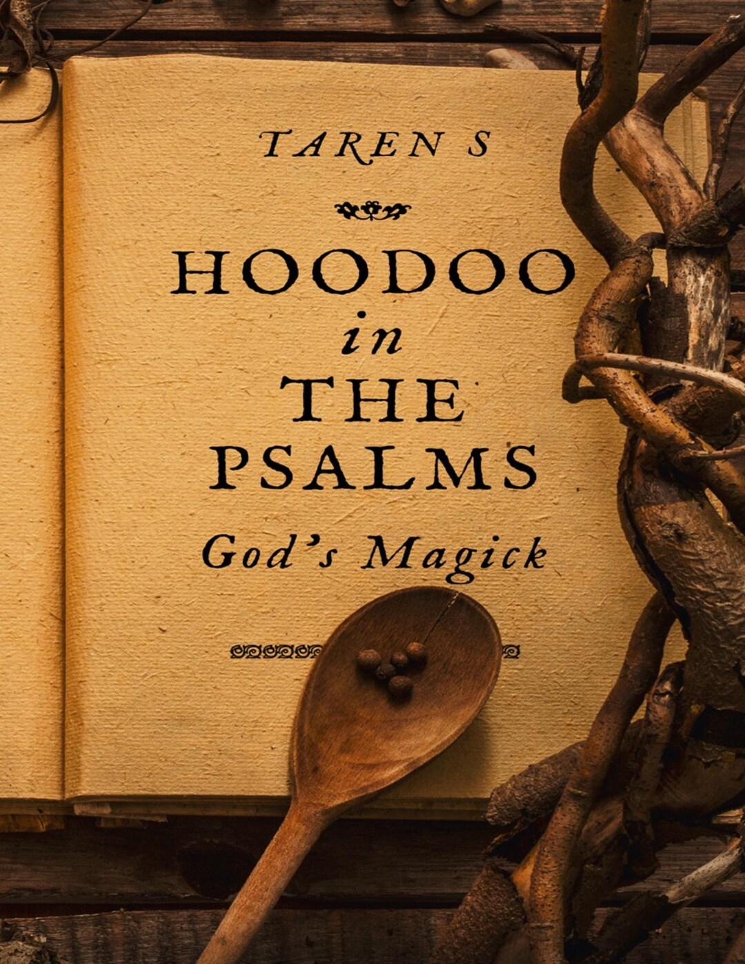 Hoodoo in the Psalms by Taren S | Spiritual Guidance Book | Hoodoo ...