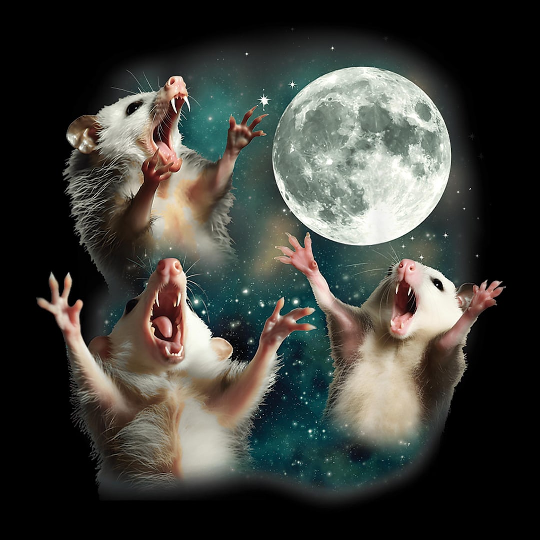 Funny Possum Moon PNG, Three Opossums Howling Design, Retro Meme Animal ...