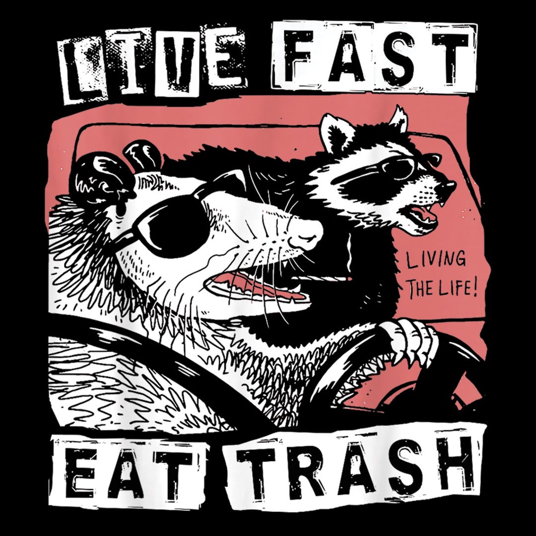 Live Fast Eat Trash PNG: Funny Raccoon & Possum Meme (digital Download ...
