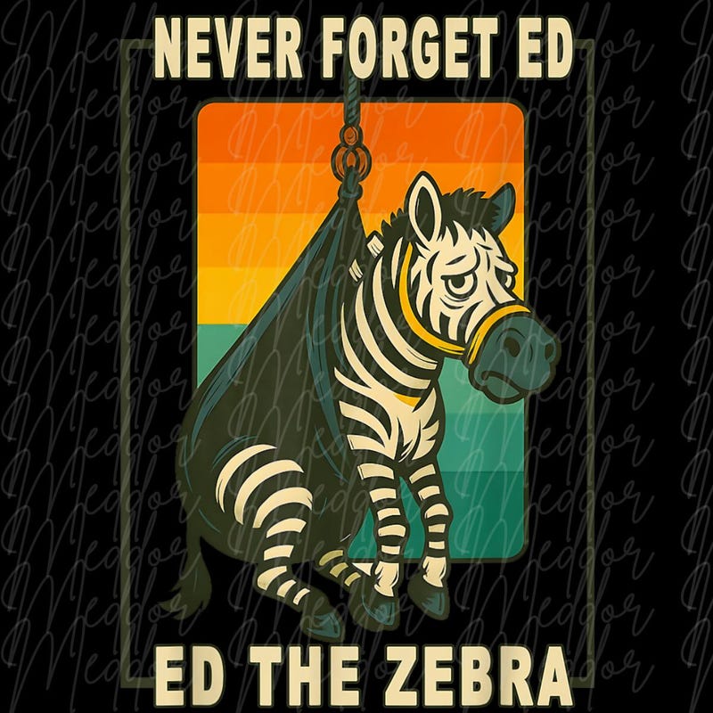 Zebra Art Print - Etsy