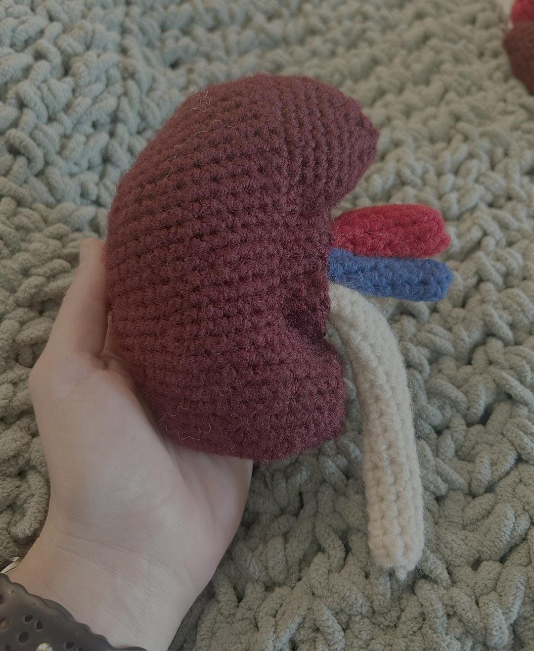Crocheted Kidney - Etsy