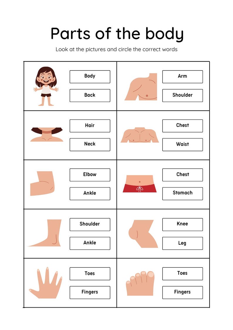 Preschool Easy and Fun Body Parts Learning Activity - Etsy