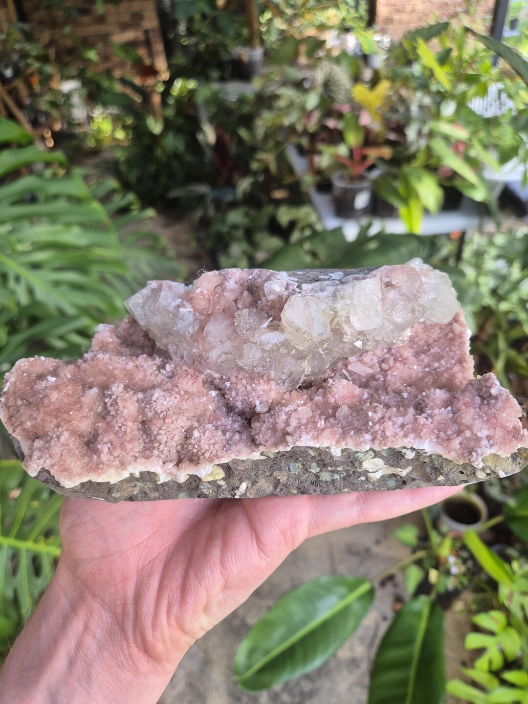 Large Rare Apophyllite and Pink Heulandite on Basalt Specimen (1.46kg ...