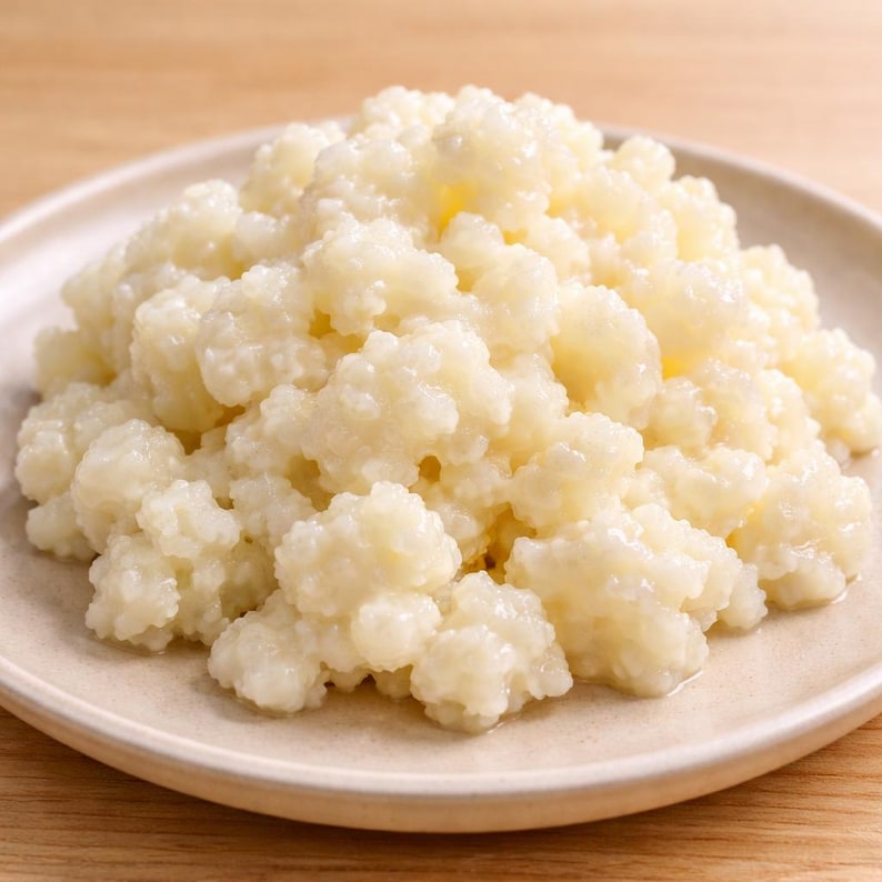 Lebendige Biomilch Kefir Körner - 1 EL Aktive Kultur Starter mit ...