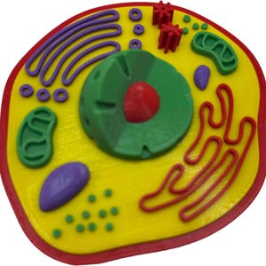 3d Printed Plant & Animal Cell Models Educational Science Stem Learning ...