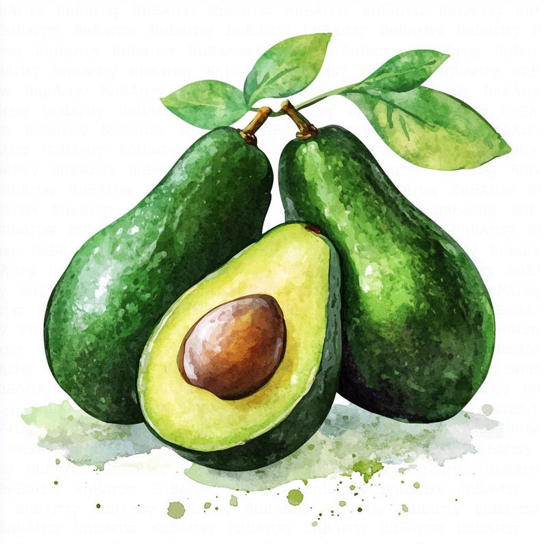 11 Avocado Clipart, Fresh Fruit Clipart, Healthy Food, Printable ...