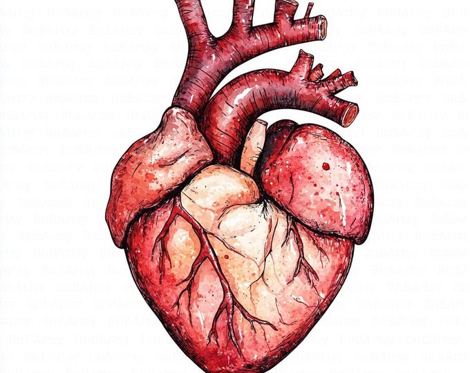 36 Human Heart Clipart, Anatomy, Halloween, Printable Watercolor ...