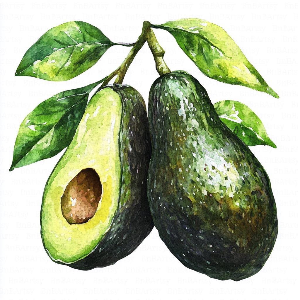 11 Avocado Clipart, Fresh Fruit Clipart, Healthy Food, Printable ...