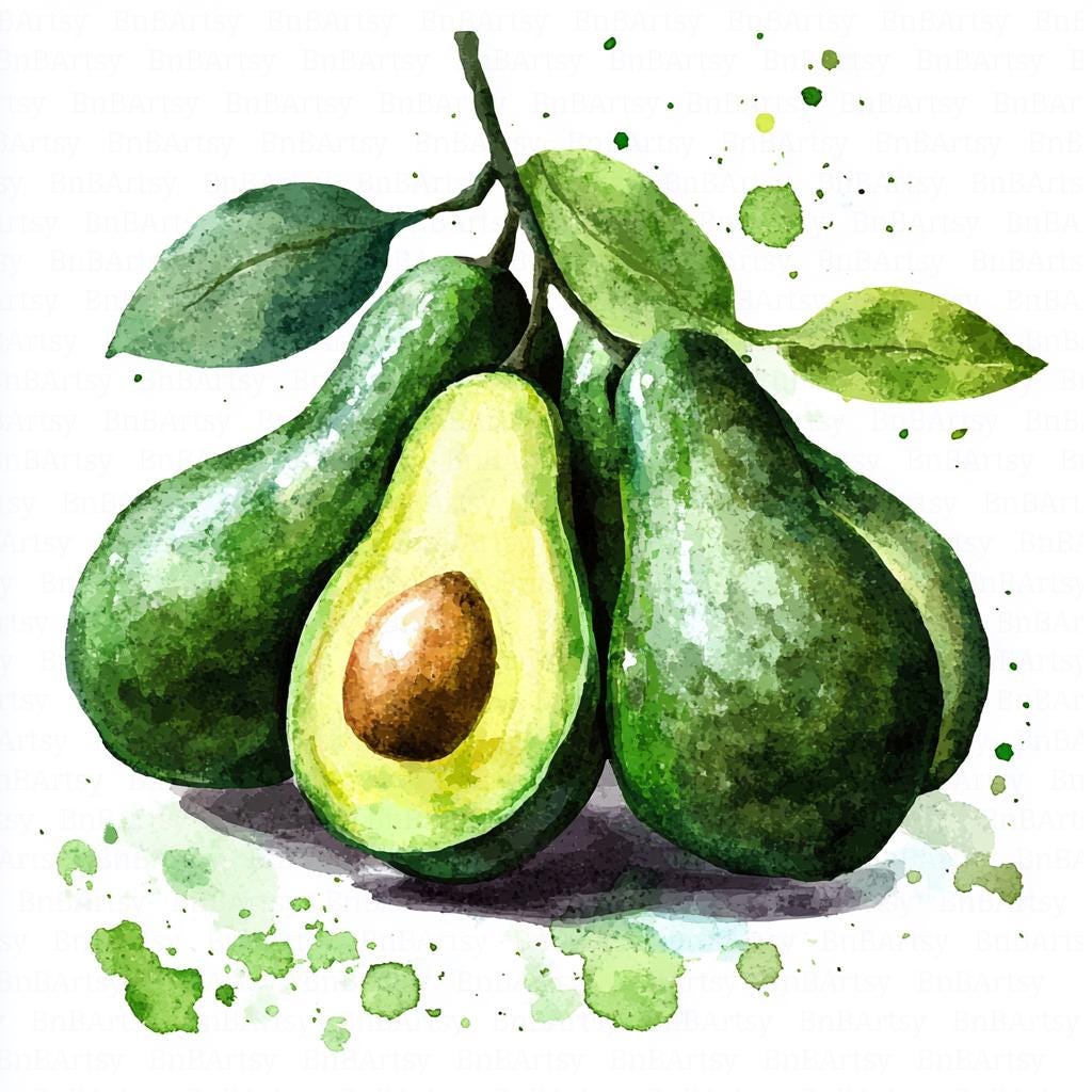 11 Avocado Clipart, Fresh Fruit Clipart, Healthy Food, Printable ...
