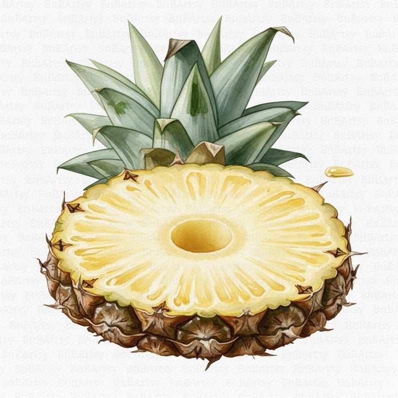 11 Pineapple Slice Clipart, Tropical Fruit Watercolor, Summer Food ...