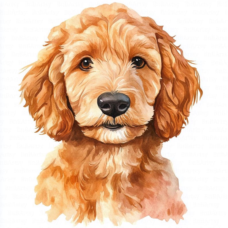 12 Cute Goldendoodle Clipart, Funny Dog, Dog Breed, Printable ...