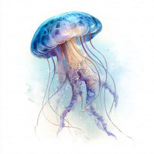 Watercolor Jellyfish Clipart, 12 Printable Dreamy Ocean Sea Life ...