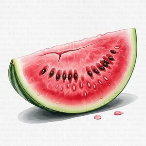 11 Juicy Watermelon Slice Clipart, Watercolor Summer Fruit Illustration ...