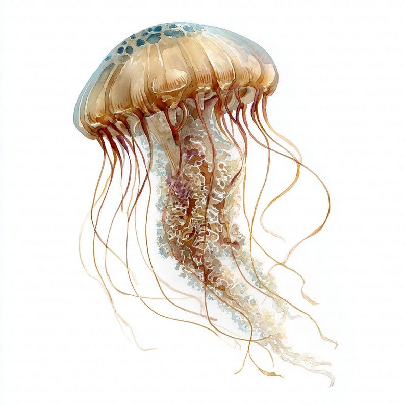 Watercolor Jellyfish Clipart, 12 Printable Dreamy Ocean Sea Life ...