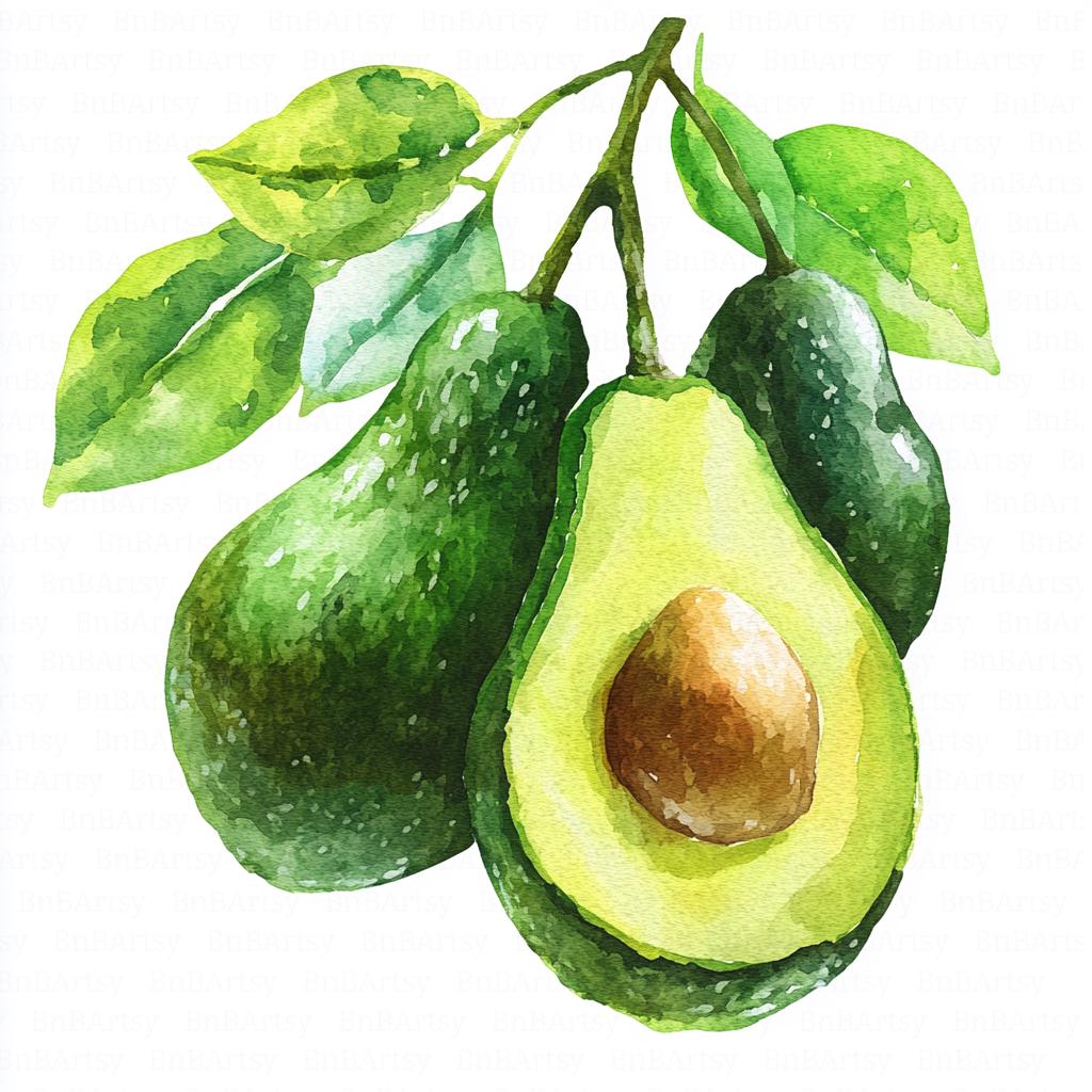 11 Avocado Clipart, Fresh Fruit Clipart, Healthy Food, Printable ...