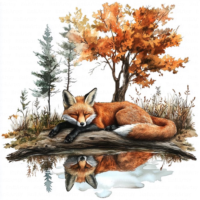 13 Autumn Red Fox Clipart, Woodland Animals, Printable Watercolor ...