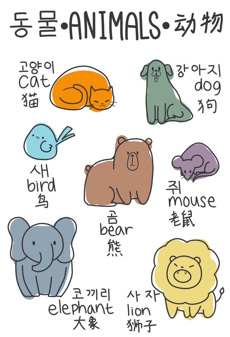 Korean Chinese Poster Bundle | Educational | Colorful | for Babies ...
