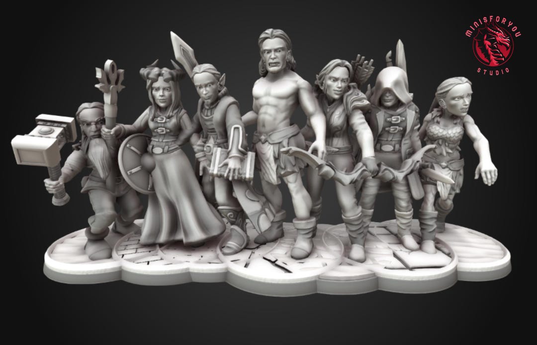 Hero Starter Set - 7 Adventurers for D&D Dungeons and Dragons DND ...