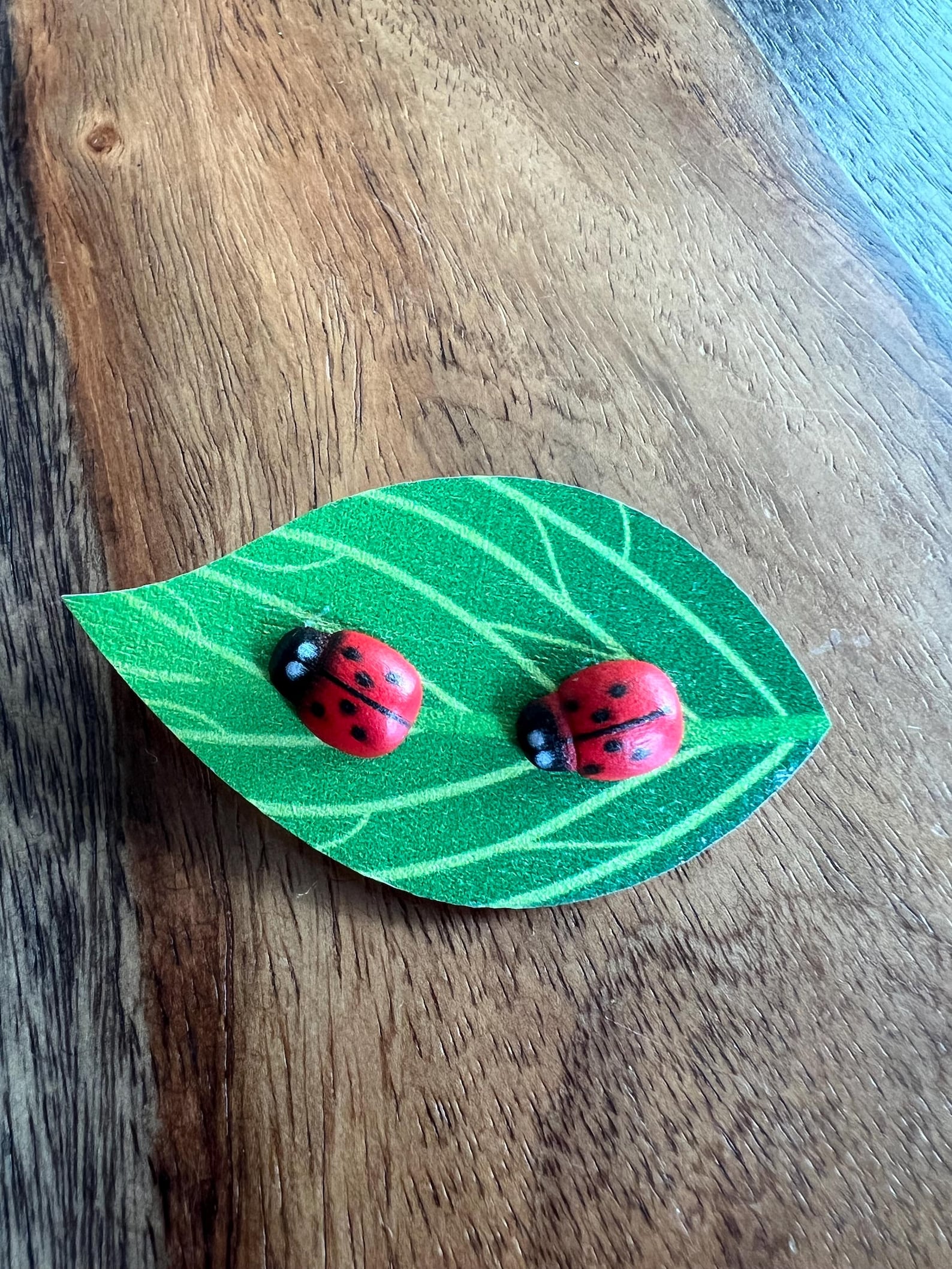 Swap Girl Scout Swaps Ladybugs On A Leaf Set Of 10 Etsy