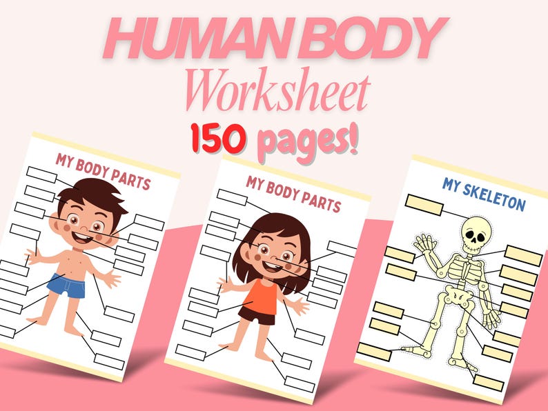 Human Body Anatomy Activity Sheets: Printable Science Worksheets (PDF ...
