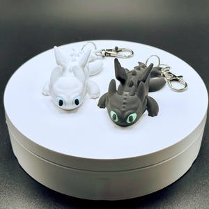 3d Printed Night Fury and Light Fury Flexi Keychains - Etsy