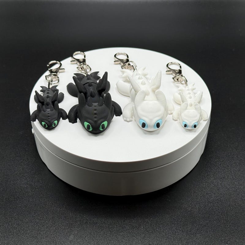 Night and Light Fury Charms - Etsy