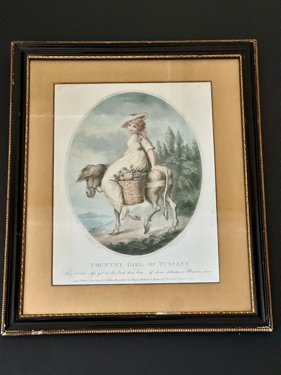 Georgian Hand-coloured Stipple Engravings, 1794-1796, Framed Pair - Etsy