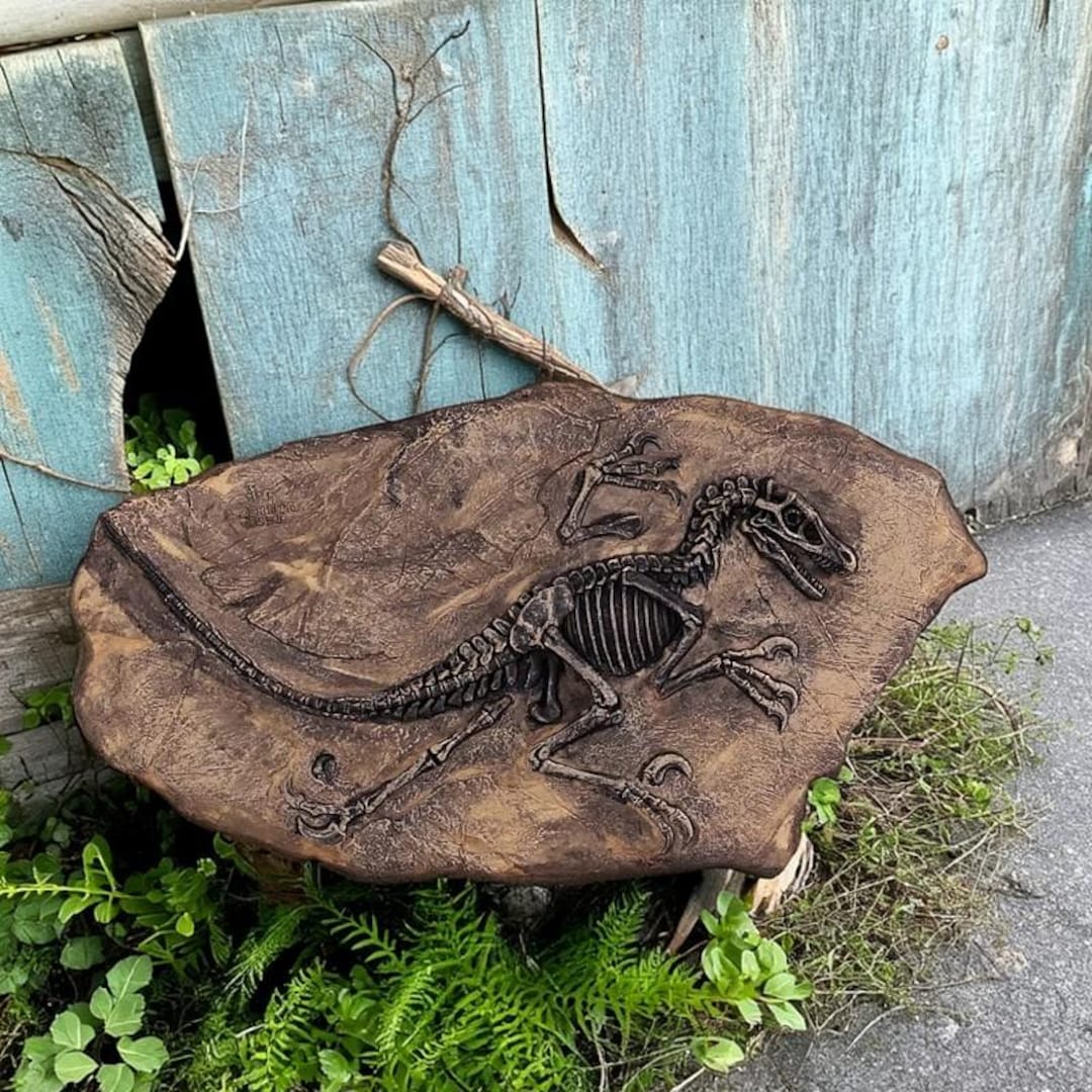 T-rex Fossil Replica | Tyrannosaurus Dinosaur Skeleton Wall Art ...