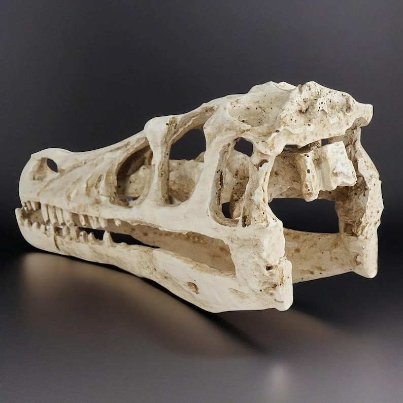Handcrafted Resin Hadrosaur Skull – Realistic Faux Bone Dinosaur Skull ...