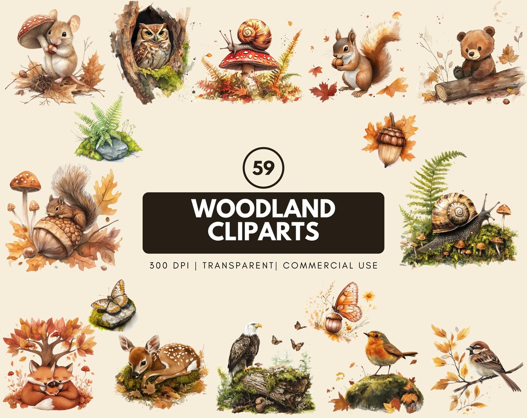 Woodland Animal Clipart PNG Bundle | Watercolor Forest Animal ...