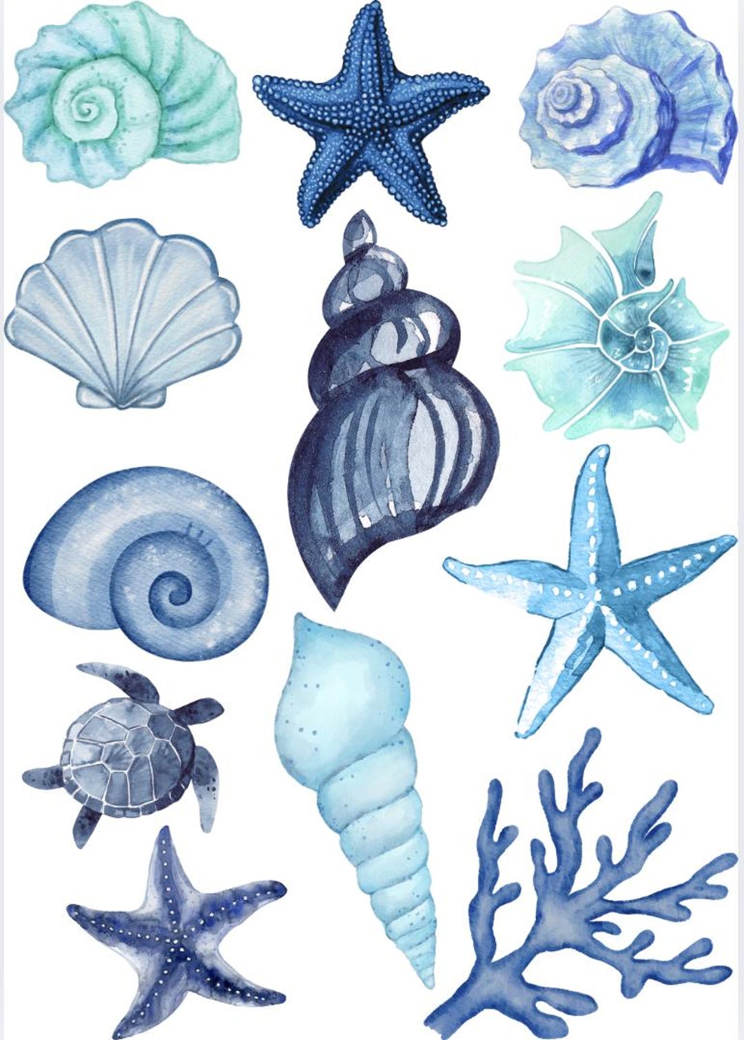 Digital Seashells Poster - Etsy
