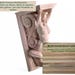 Mermaid Wooden Corbel, Carved Wall Accent (unpainted, 1pc) - Etsy