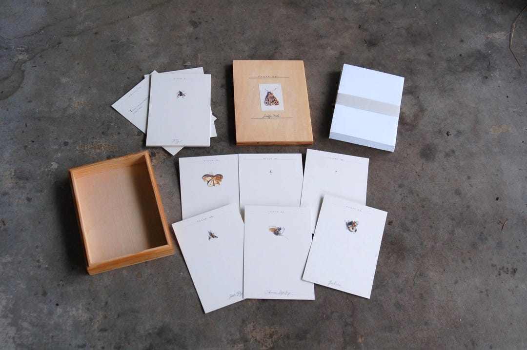 1999 the Dead Bug Hardcover Box Plates / Postal Cards by Artist Candy ...