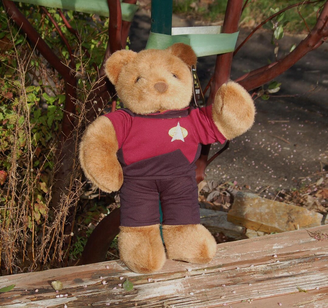 Vtg Star Trek the Next Generation 15" Starfleet Bear 1999 Plush, Star ...