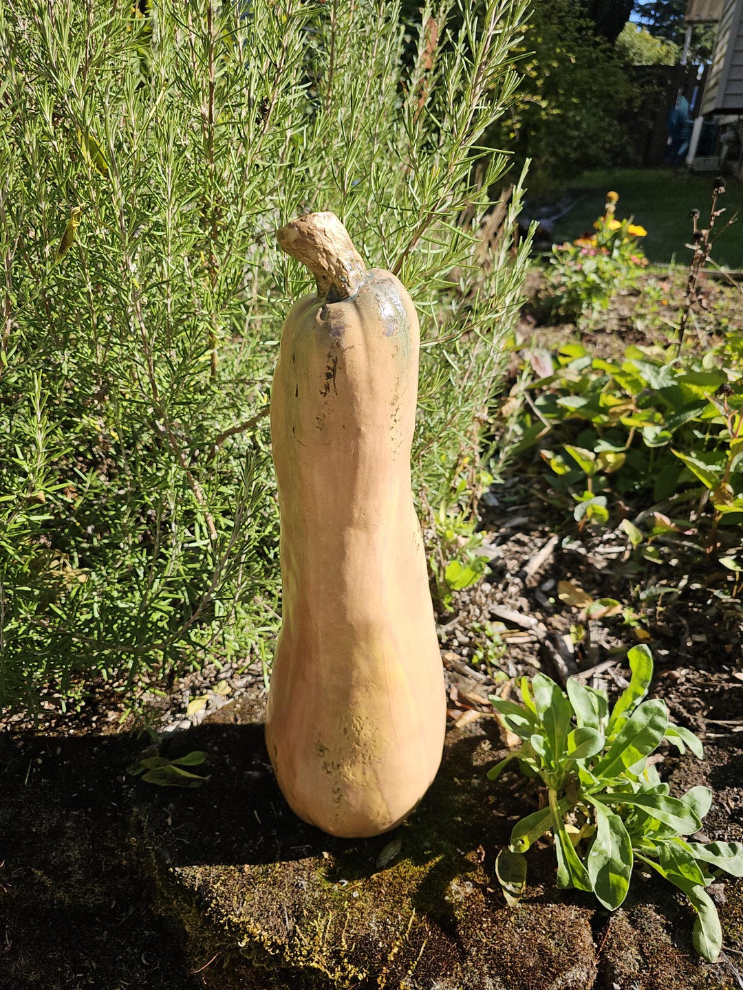 Patricia Garrett 1993 Great Impressions Realist 19" T Butternut Squash ...
