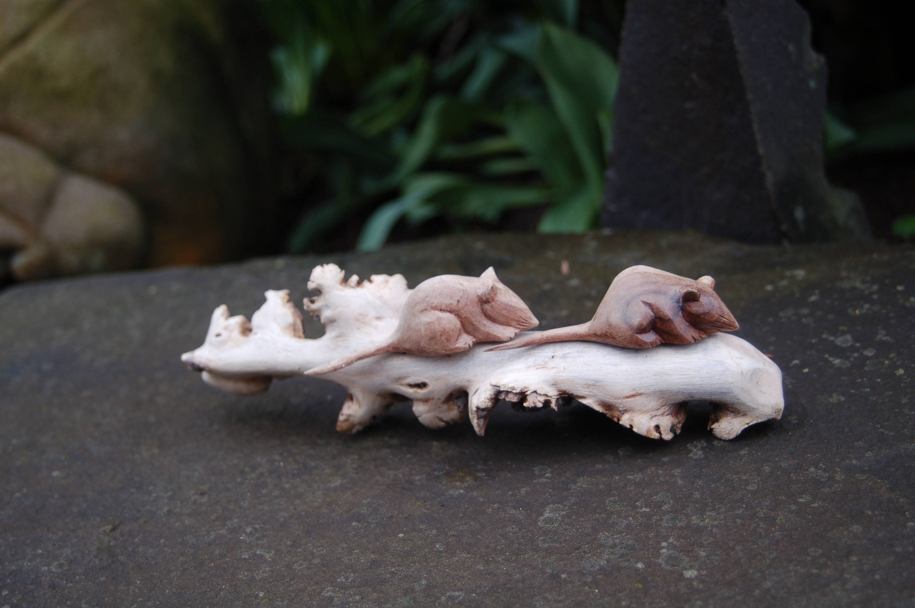 Carved Natural Parasite Wood Mice ~ Carved Chinaberry Natural Parasite ...