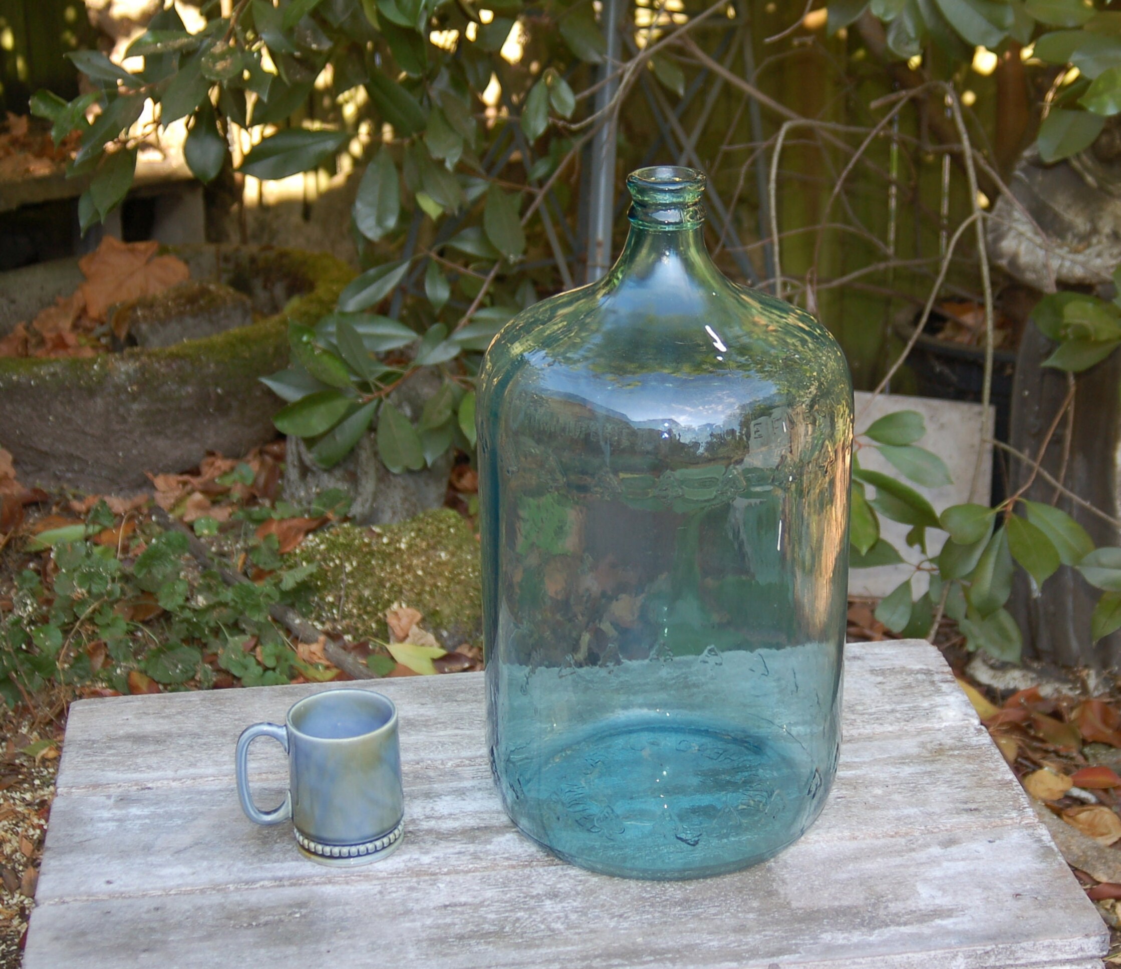 Glass Water Jug