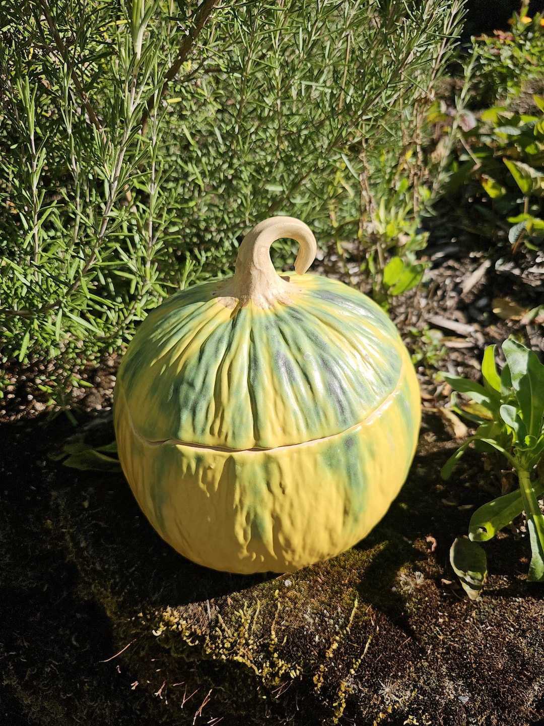 Patricia Garrett 1993 Great Impressions Realist Carnival Squash ...