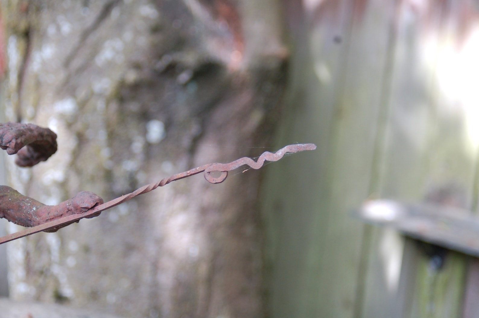 NW Artist Corey Pennington Medieval Style Flying Warrior / Avenging ...