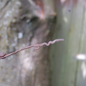 NW Artist Corey Pennington Medieval Style Flying Warrior / Avenging ...