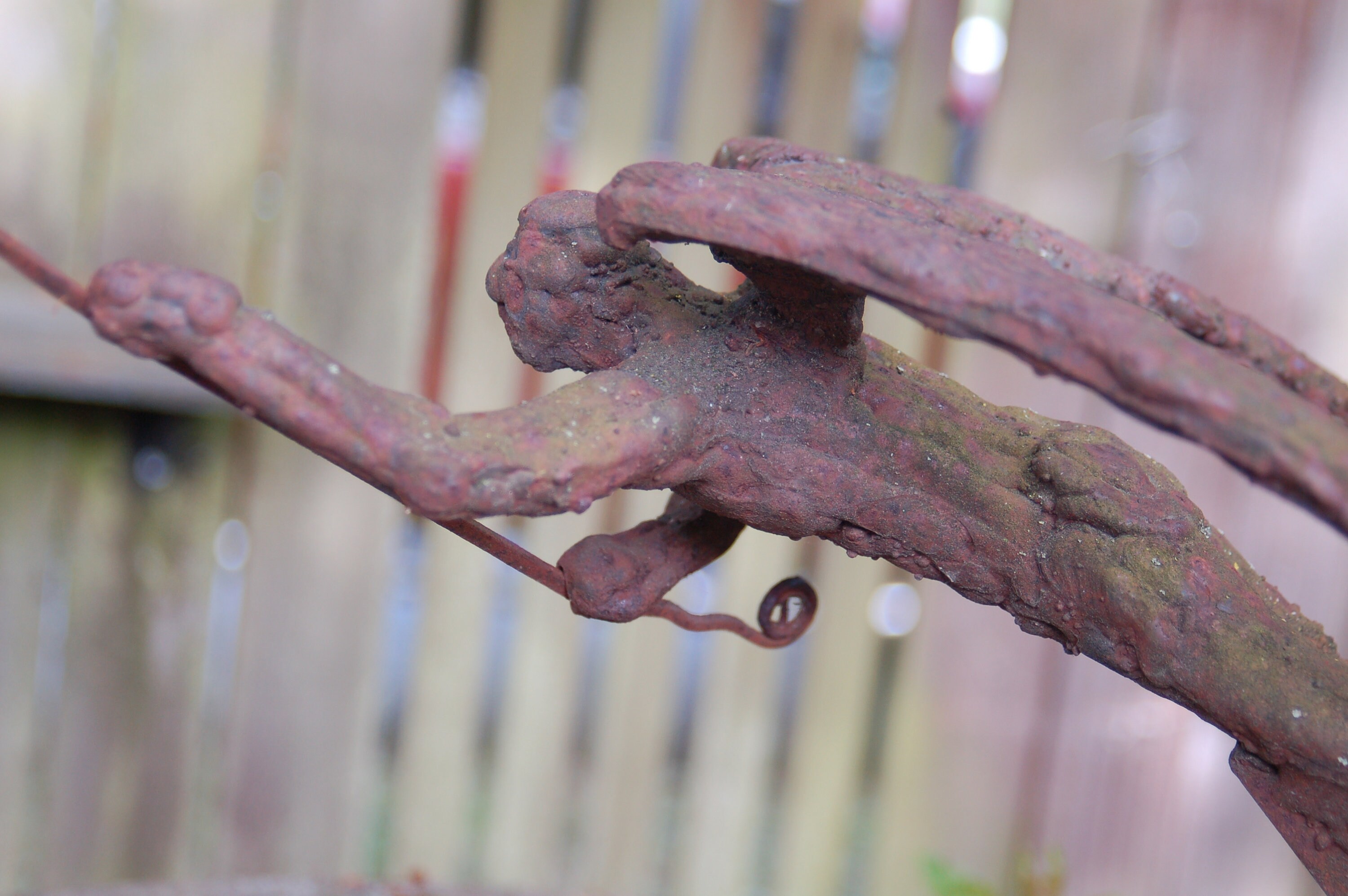 NW Artist Corey Pennington Medieval Style Flying Warrior / | Etsy