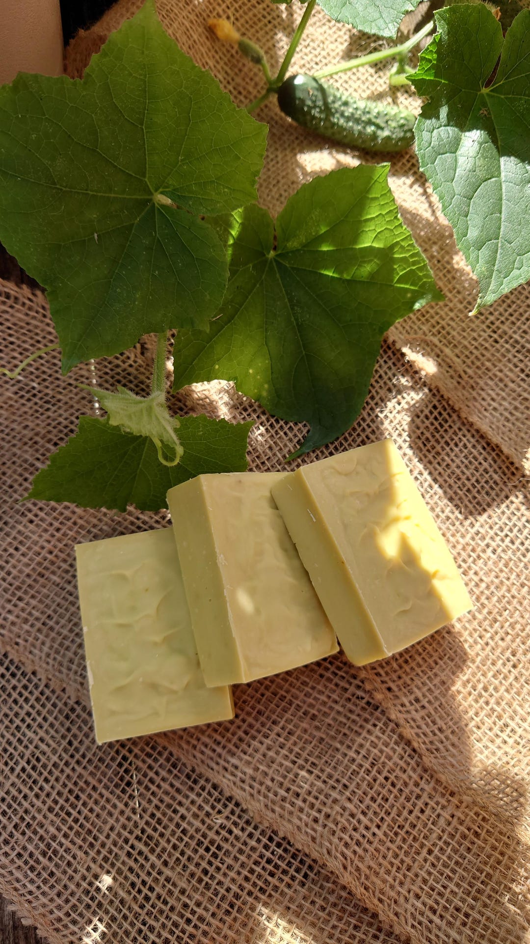 Cucumber Lime Artisan Soap: Cold Process With Shea Butter & Peppermint ...