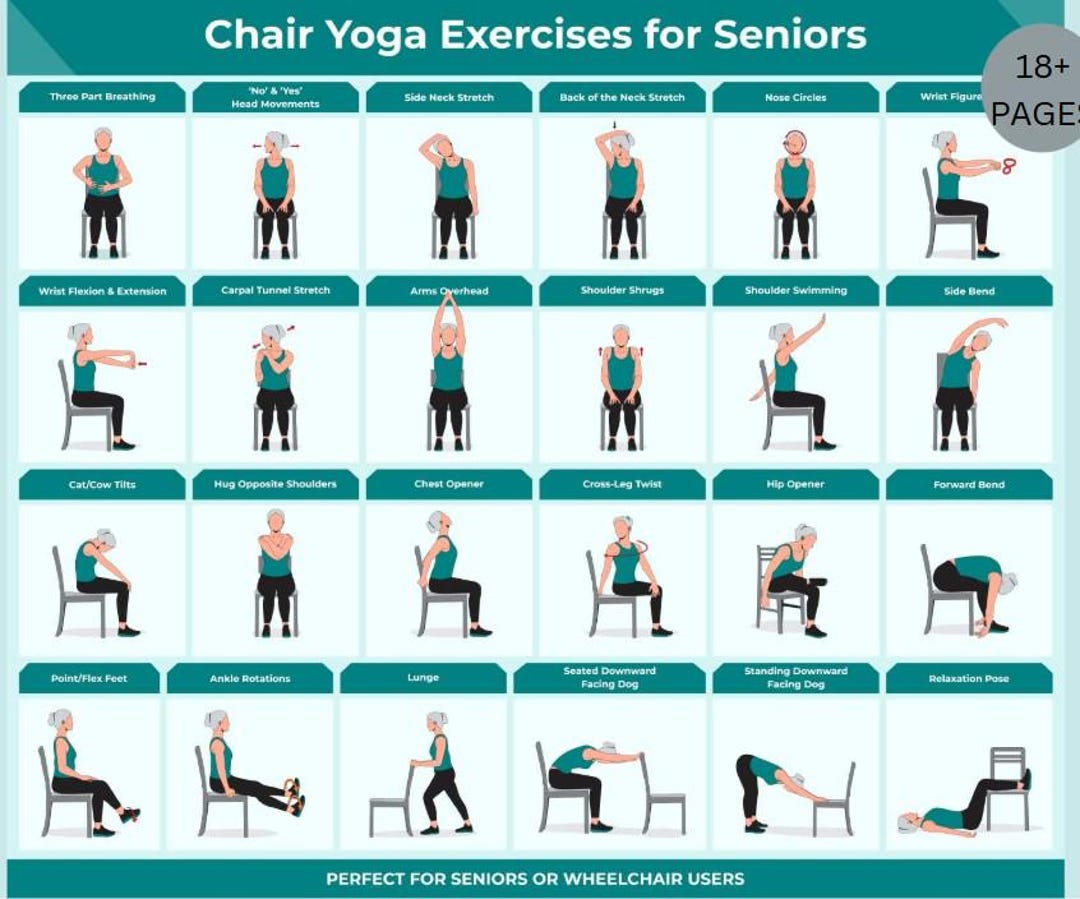 30 Chair Yoga Exercise in Our Guide for Seniors Wheelchair Users Nursing Home Balance Stability ...
