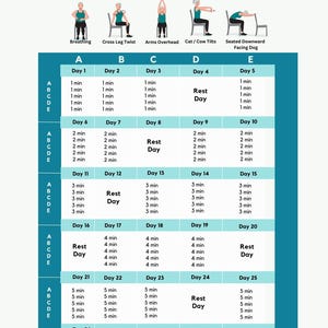 30 Chair Yoga Exercise in Our Guide for Seniors Wheelchair Users Home Balance Stability 30day ...