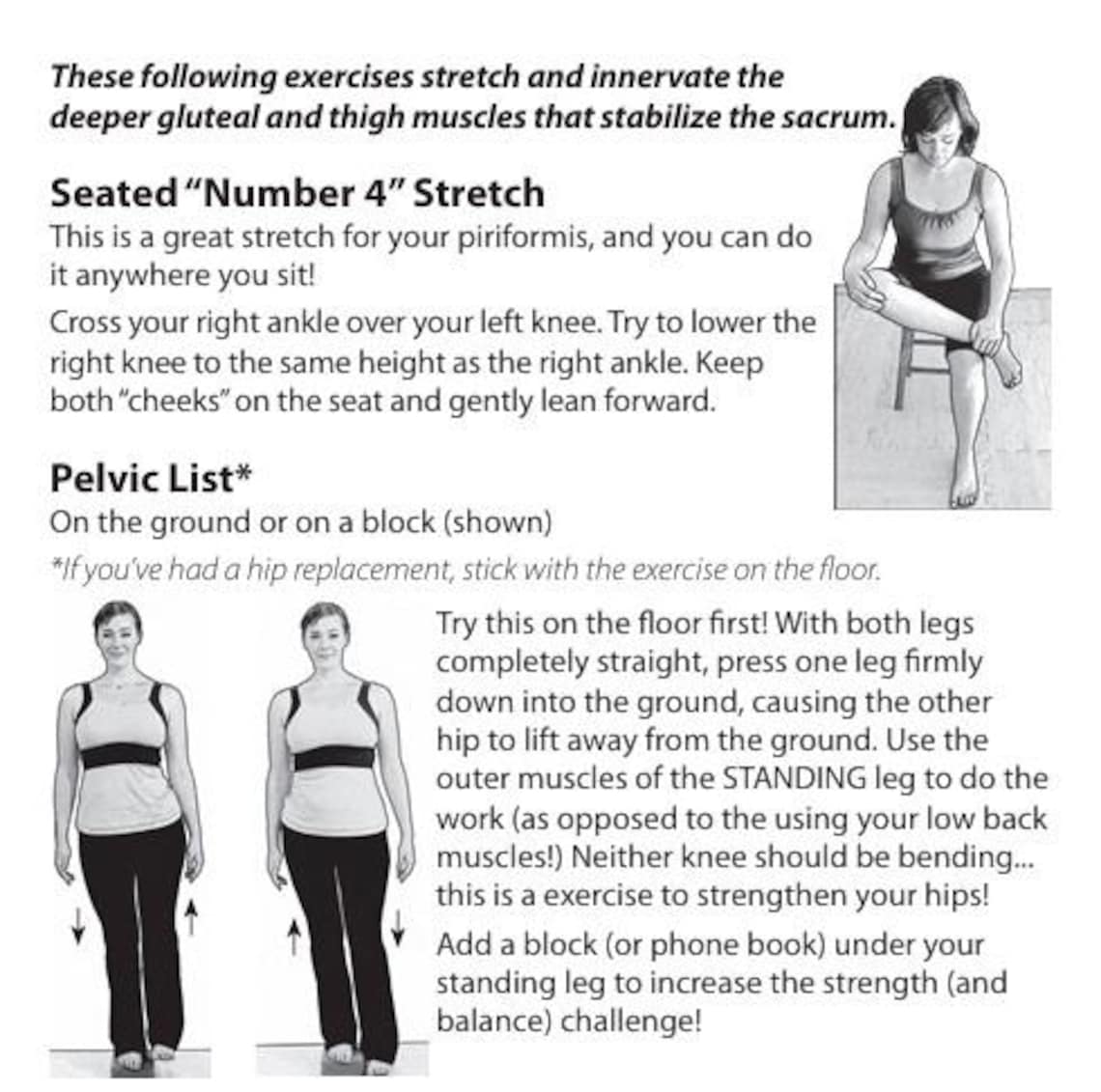 19 Pelvic Floor Girdle Pilates Exercise Swiss Stability Fitball Ball ...