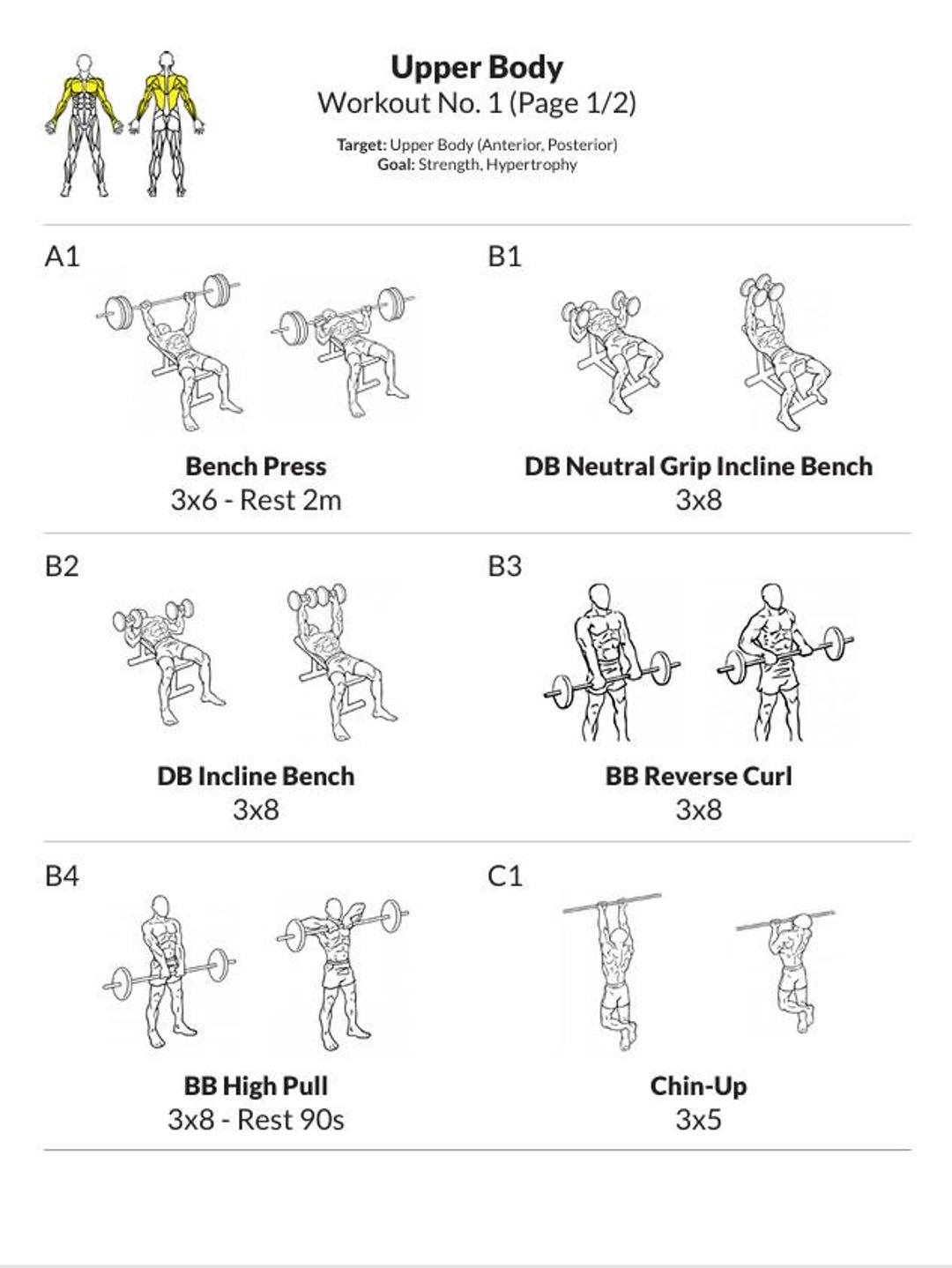 Dumbbell Barbell Upper Body Weight Gym Workout Exercises Stretch ...